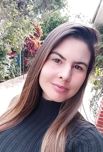 Curriculo profissional